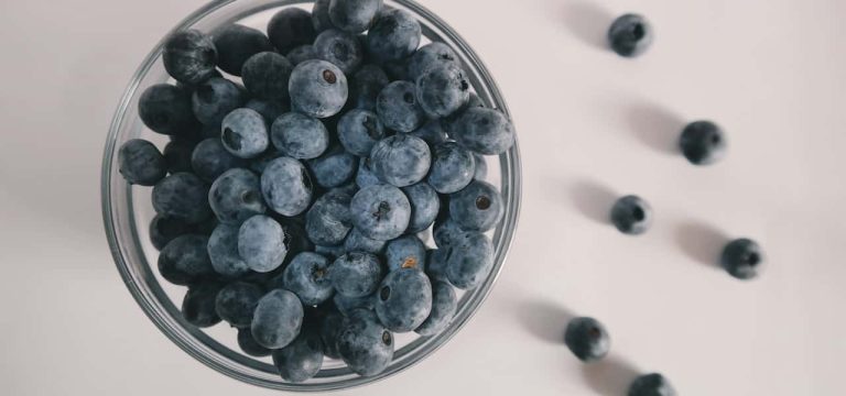 Skin Benefits of Blueberries: 10 Incredible Skin Benefits